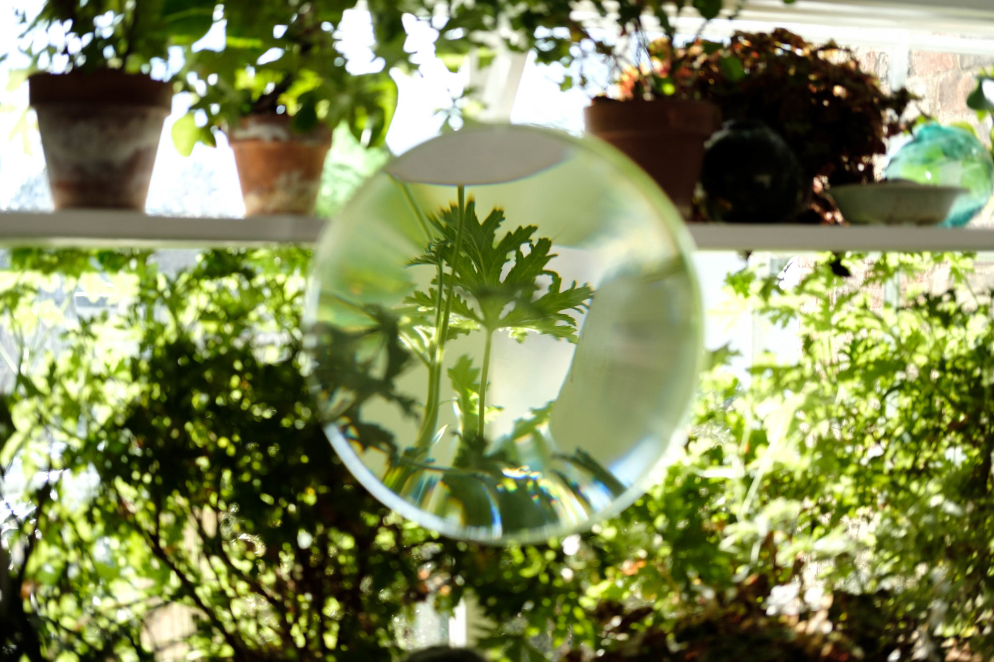 Kettle’s Yard - Aucoot