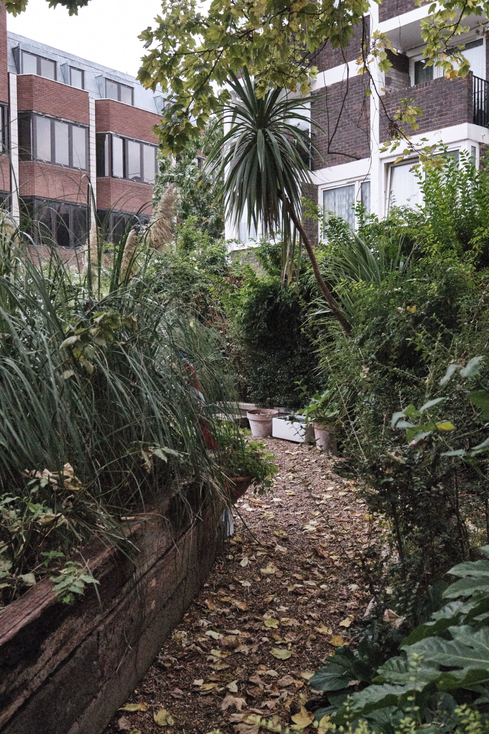 Quaker Gardens London | Fasci Garden