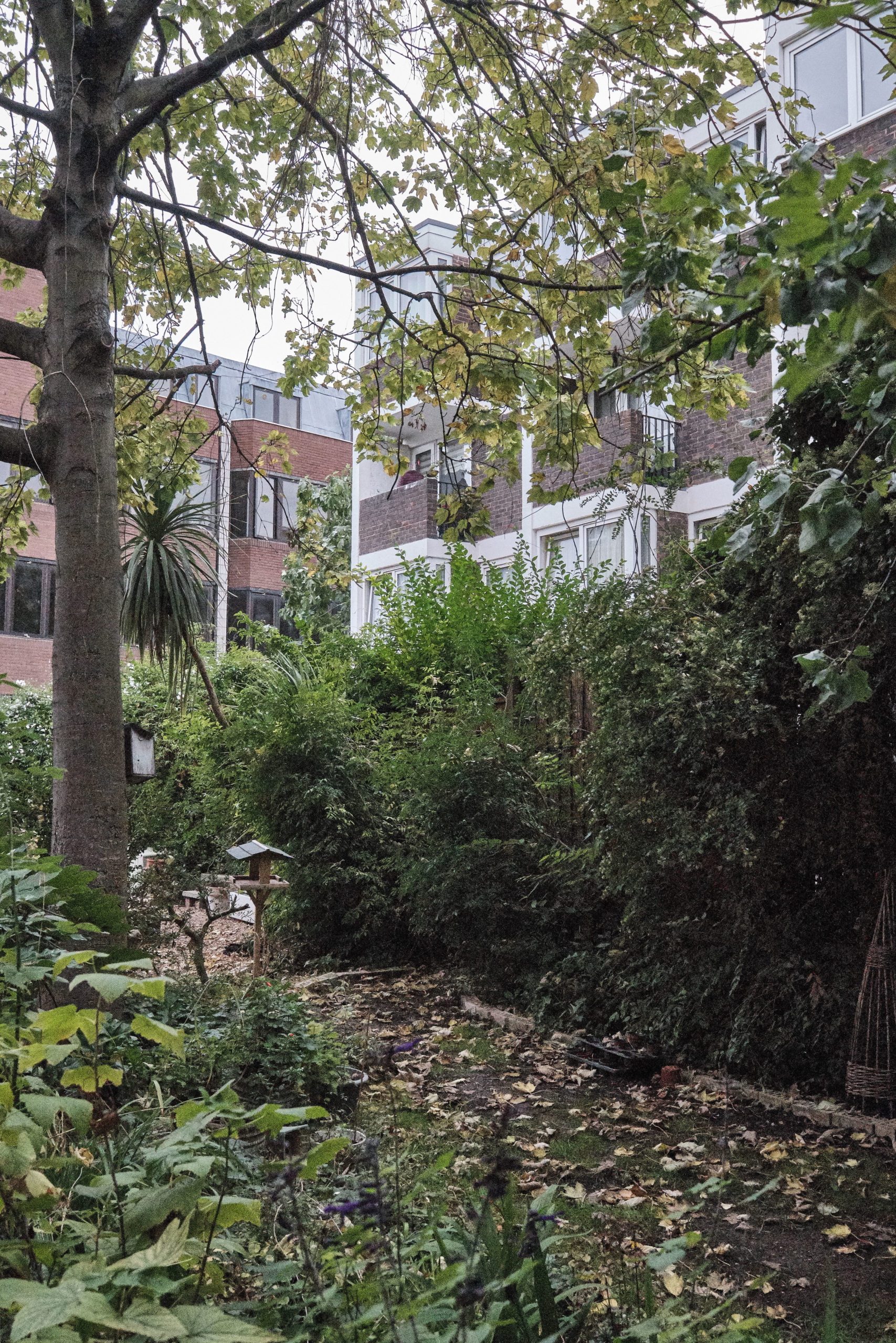 Quaker Gardens London | Fasci Garden