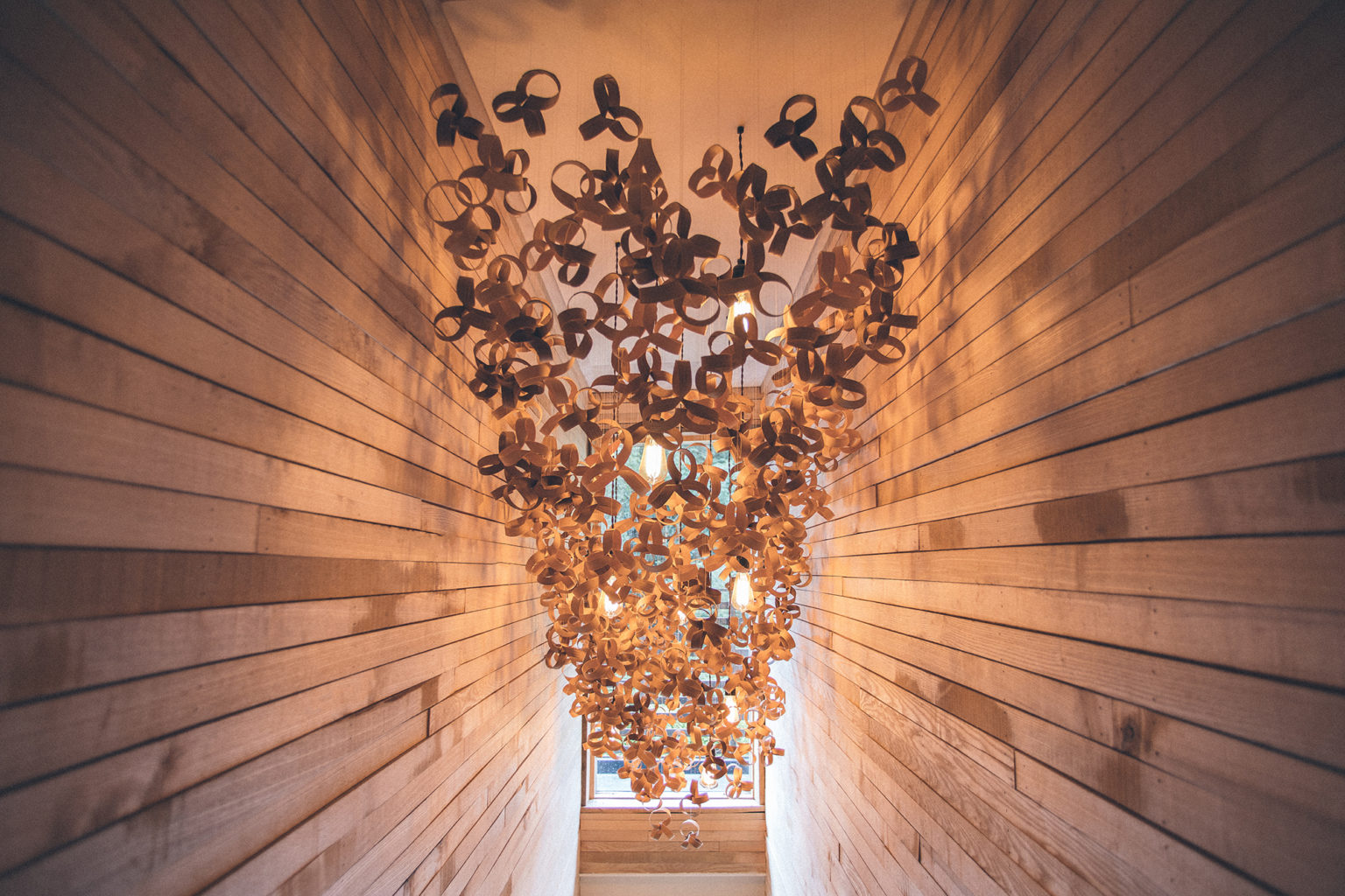 Tom Raffield's Cornwall home - Aucoot