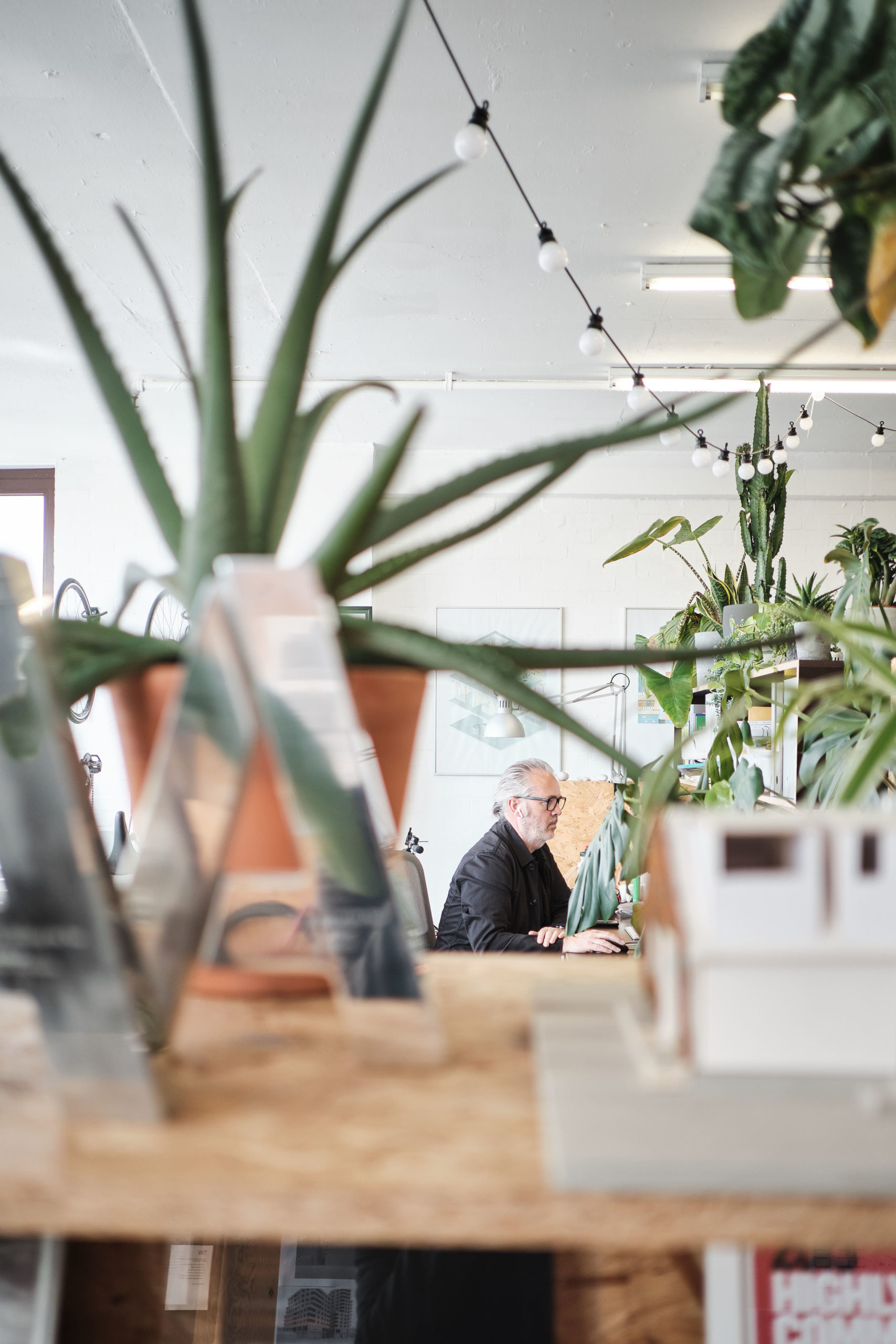 Carl Turner - Aucoot