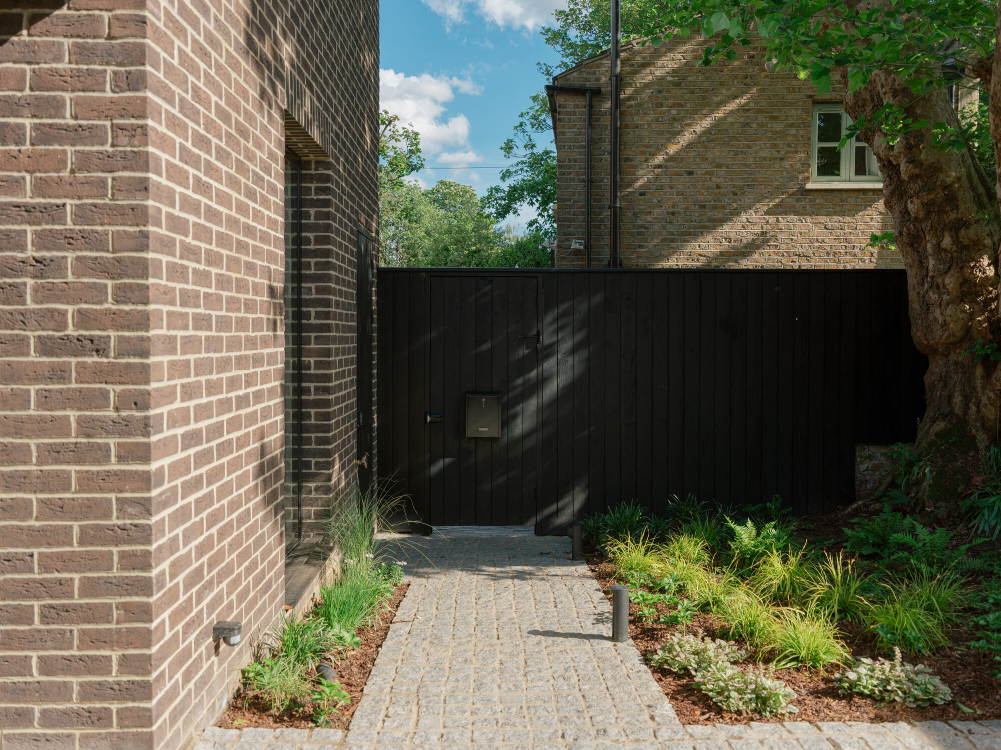 Tree Courtyard House, Walthamstow Village, London E17 - Aucoot