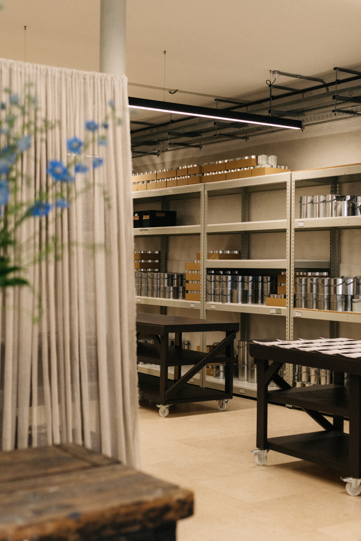 Inside Atelier Ellis: Cassandra Ellis on Purpose and Paint - Aucoot